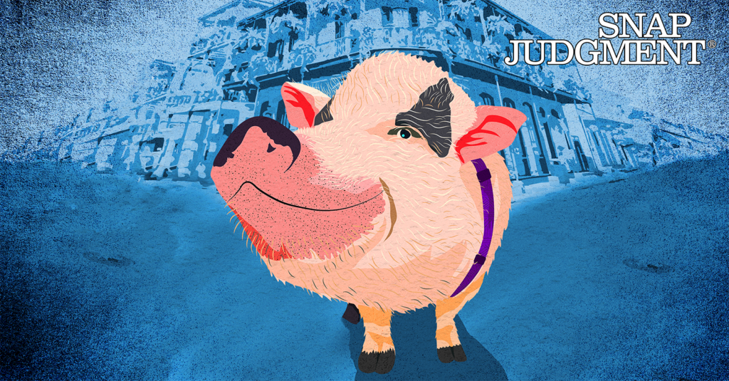 Rooty the Pig - Snap Judgment