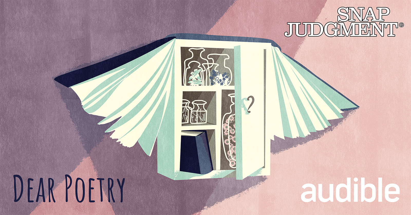 Dear Poetry - Snap Judgment